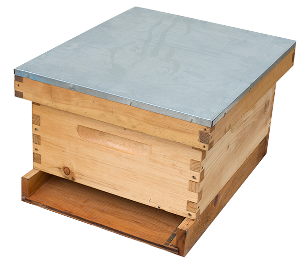 Starter hive kit complete with bottom board, deep box with six frames ...